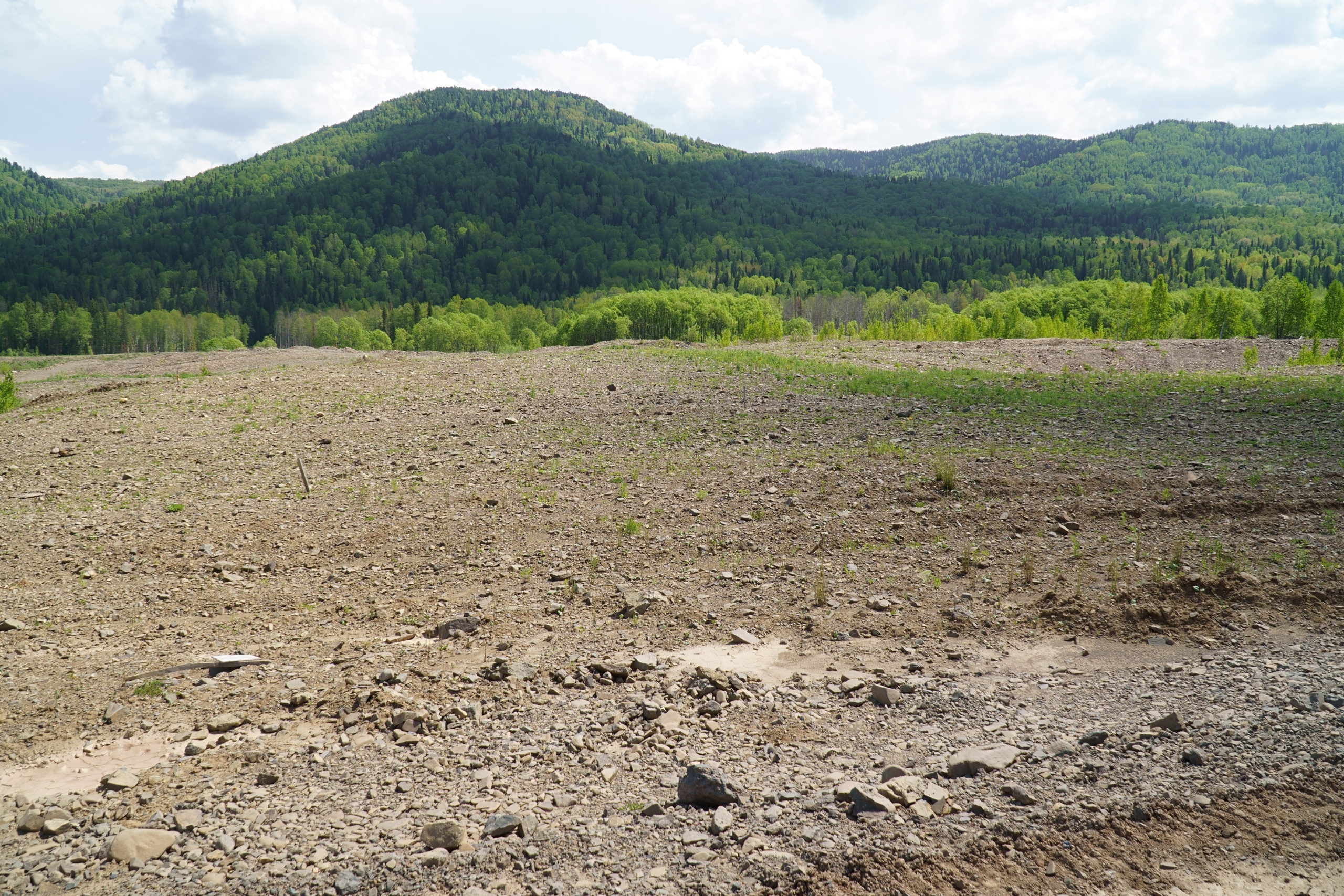 Alluvial Gold Mining is Destroying the Life of the Indigenous Peoples ...