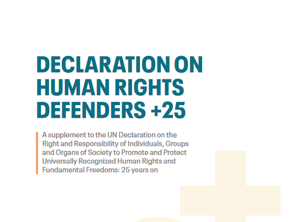 Declaration+25: Articulating international standards to protect the ...